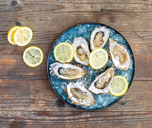 Austern öffnen - So geht's