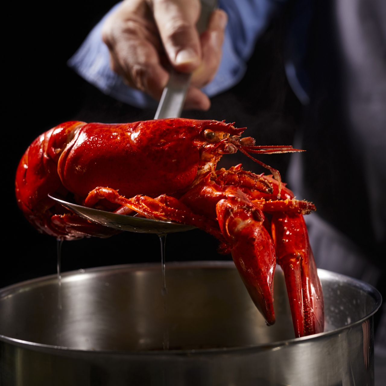 Seafood-Knowhow und Küchentipps