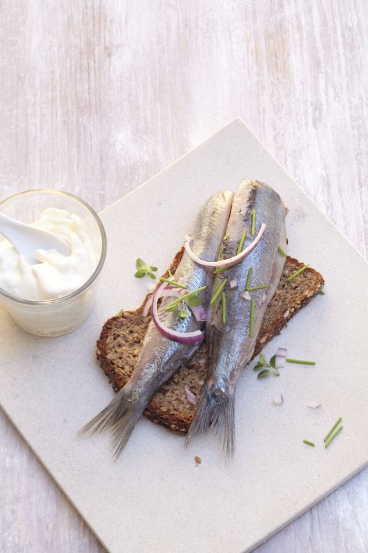 Garnele oder Shrimp – Was bin ich?