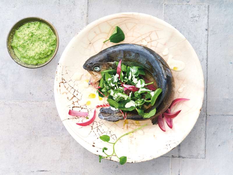 Fisch entschuppen - Tipps & Tricks