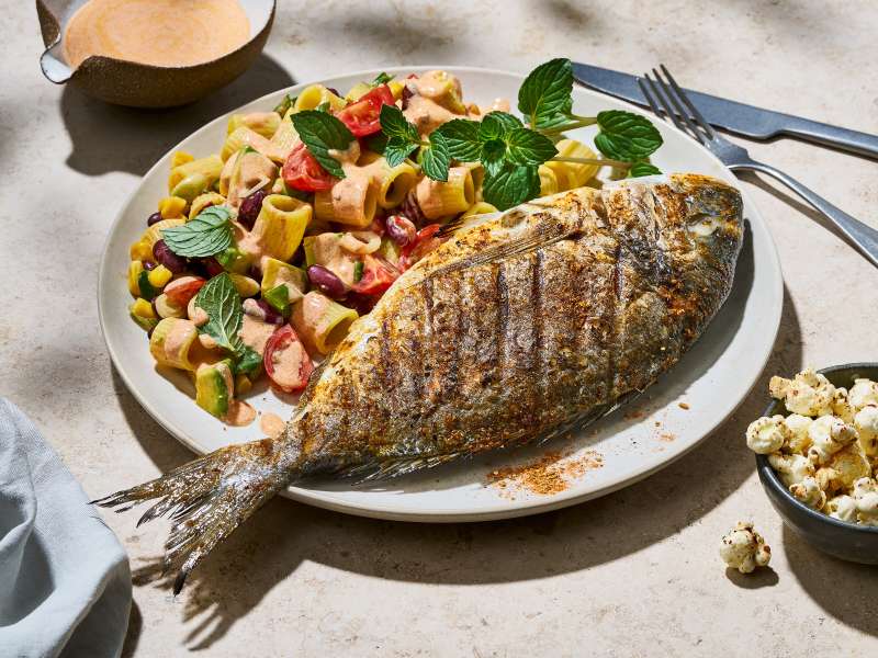 Dorade - begehrter Genuss-Fisch aus dem Mittelmeer