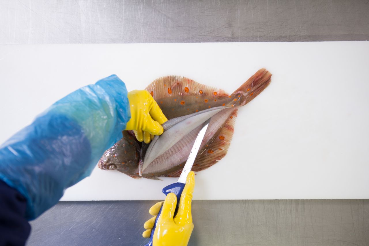 Filetieren leicht gemacht - in Anleitung von Deutsche See