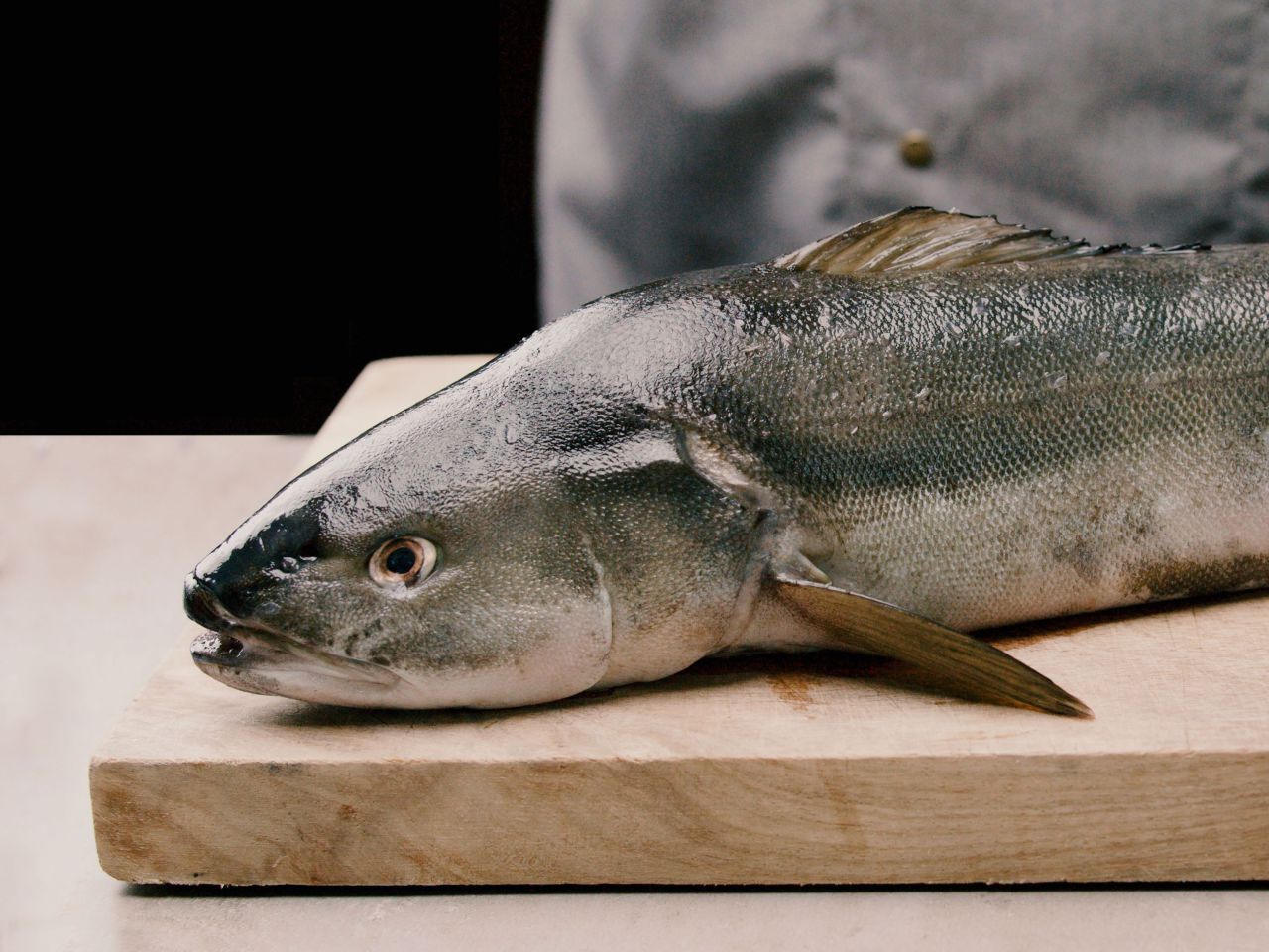 Black Cod oder auch Kohlenfisch - schon gewusst?