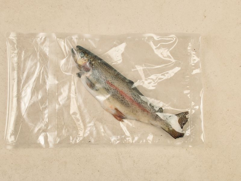 Forelle direkt zu Ihnen nach Hause - Onlinekauf bei Deutsche See!