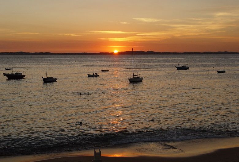 Gamba Carabiniera - die rote Riesengarnele
