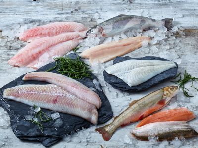 Fisch online bestellen und zum Wunschtermin liefern lassen